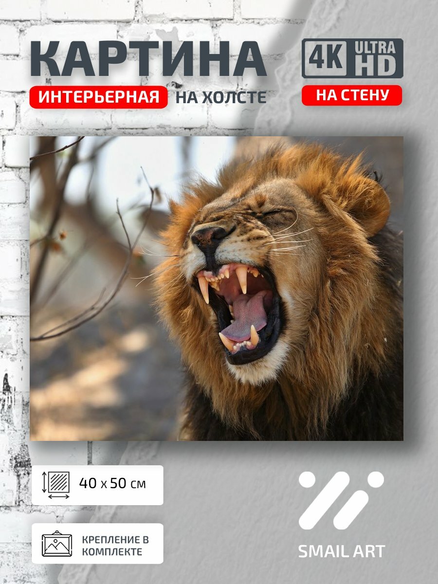 Картина на холсте интерьерная 40 на 50 на стену Хищник Animal для детской animal style