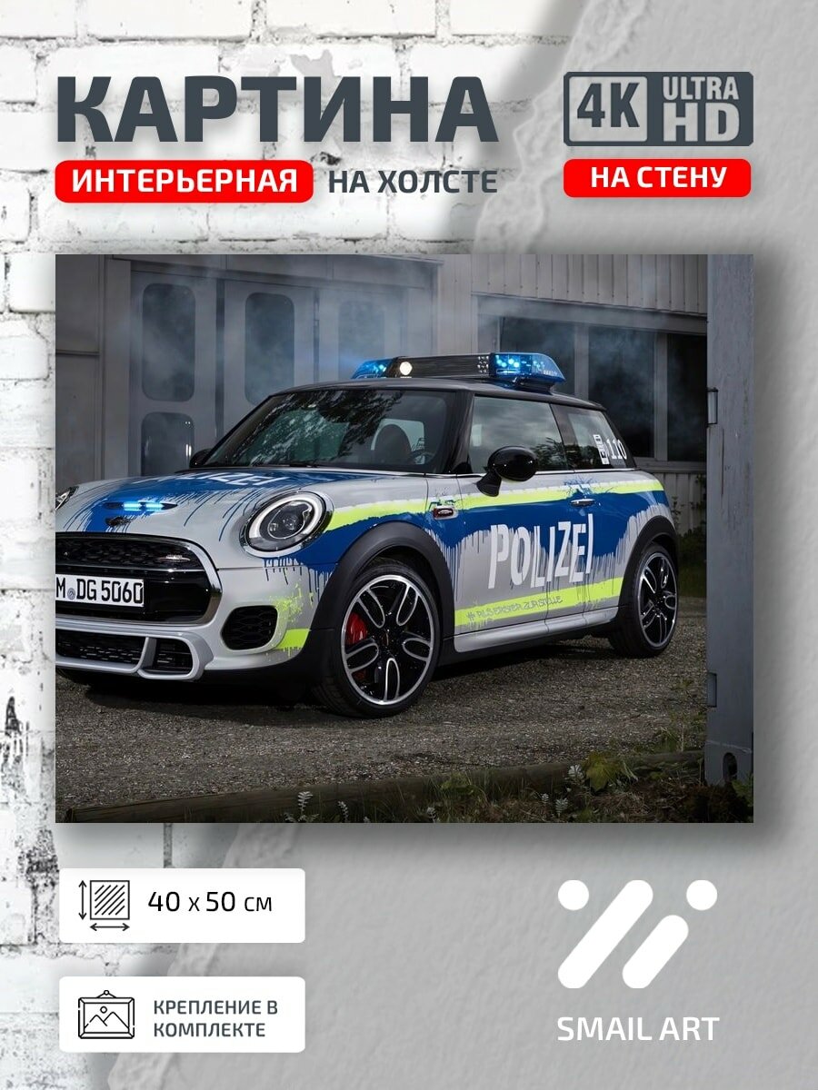 Картина на холсте интерьерная 40 на 50 на стену MINI 2018 для кабинета атмосфера
