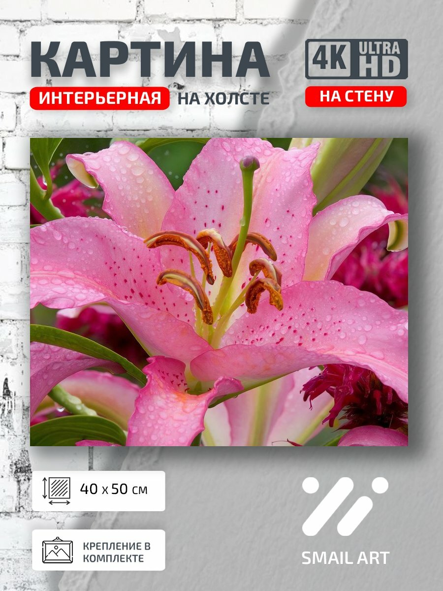 Картина на холсте интерьерная 40 на 50 на стену Лилия Mood для офиса атмосфера интерьер