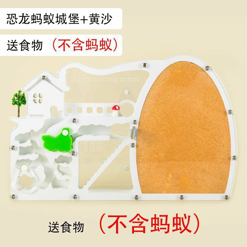 Экологическая коробка для муравьев, научное образование, коробка для наблюдения за динозаврами, песчаное гнездо с королевской муравьей, прозрачная игрушка, чемпион из акрила