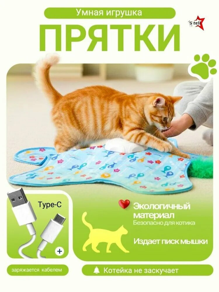 Эксклюзивный аксессуар для питомца
