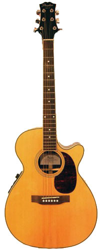 Acoustic guitar Peerless PGA-55CE - Cutaway grand auditorium acoustic guitar with 628 mm scale, solid rosewood body, mahogany neck and rosewood fretboard. Built-in Fishman Prefix Plus-T pickup system.