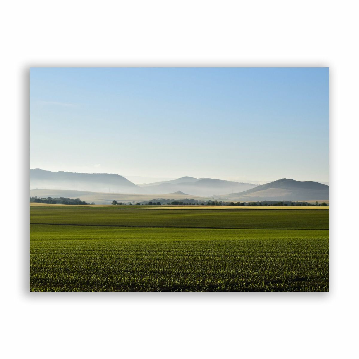 Постер, плакат на бумаге / Природа Франции - Поле / Размер 30 x 40 см