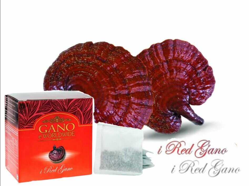 Чай в пакетиках Гриб рейши (ганодерма) лечебный I Red Gano 20 штук