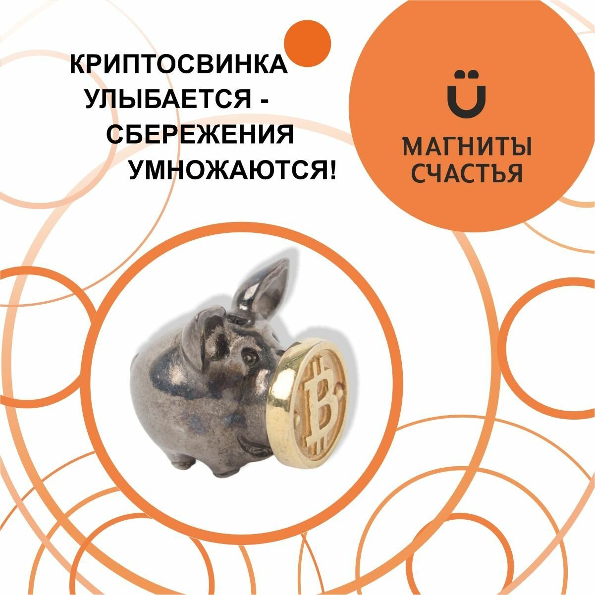 Магниты Счастья, денежный Талисман "Крипто-свинка" из серебра 925 пробы
