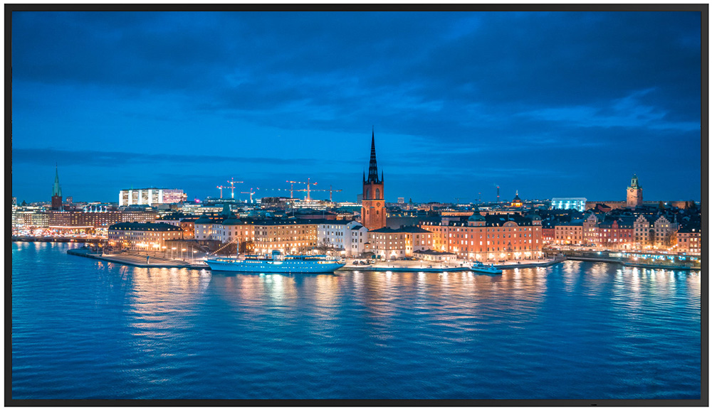 Профессиональная панель DIELLO SA-65P (ТН ВЭД 8471410000)