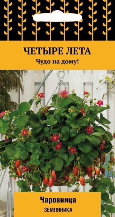 Земляника Чаровница — фото 1