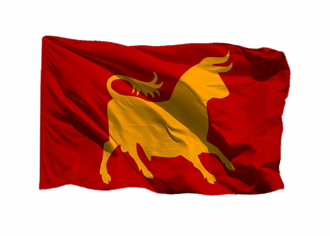 Флаг Легиона Цезаря из Fallout Фоллаут 90х135 см на шёлке для ручного древка