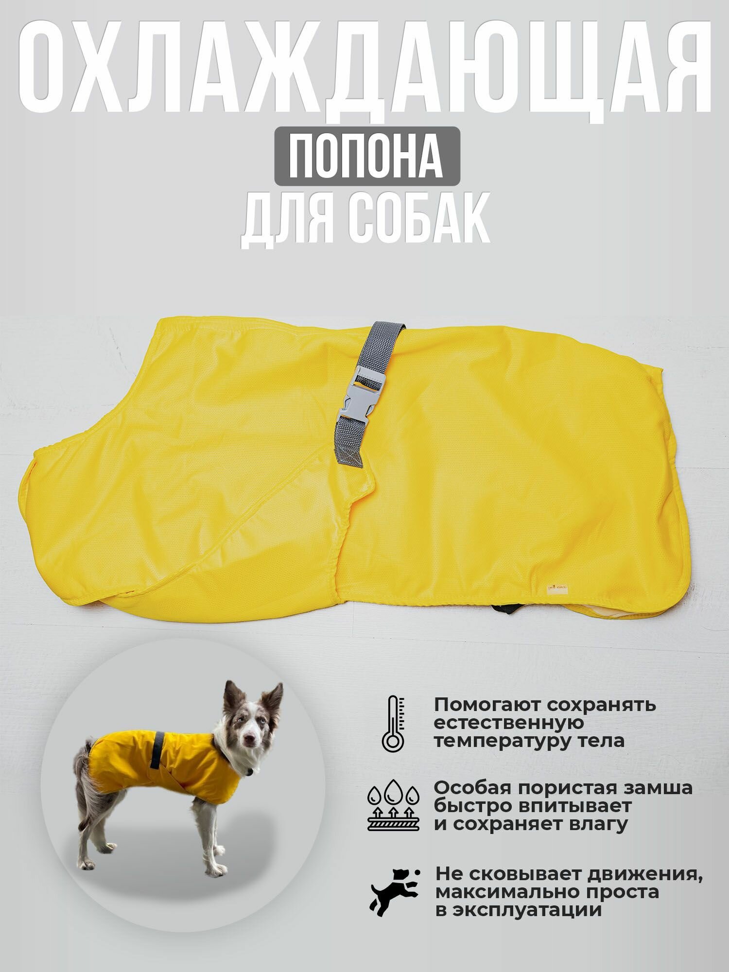 Одежда для животных