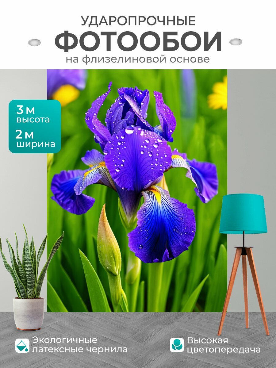 Фотообои моющиеся ударопрочные "Ирисы в весеннем саду с каплями росы" 200x300 см. флизелиновые на стену
