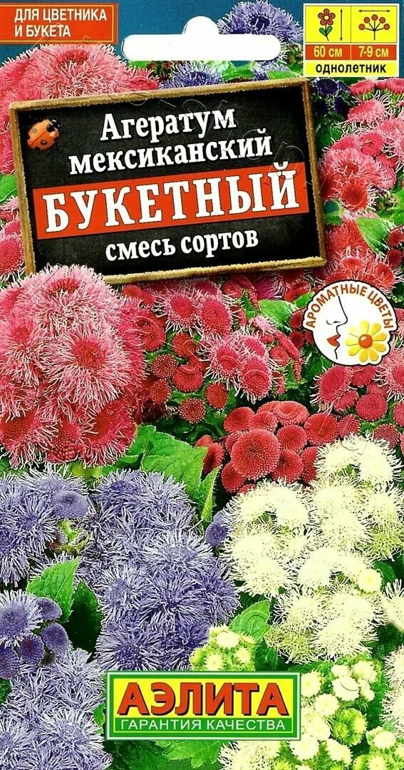 Агератум букетный Воздушные шары. смесь окрасок (3 упаковки)