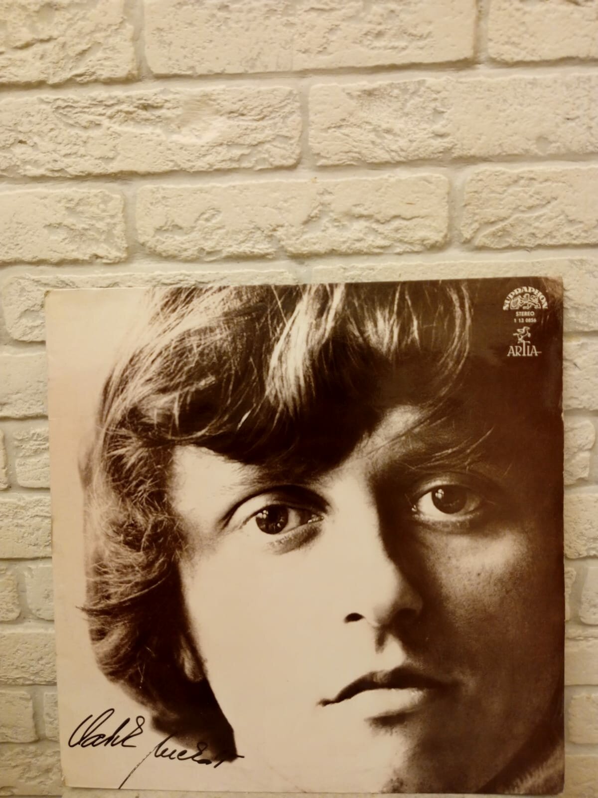 Виниловая пластинка - Vaclav Neckar (LP)