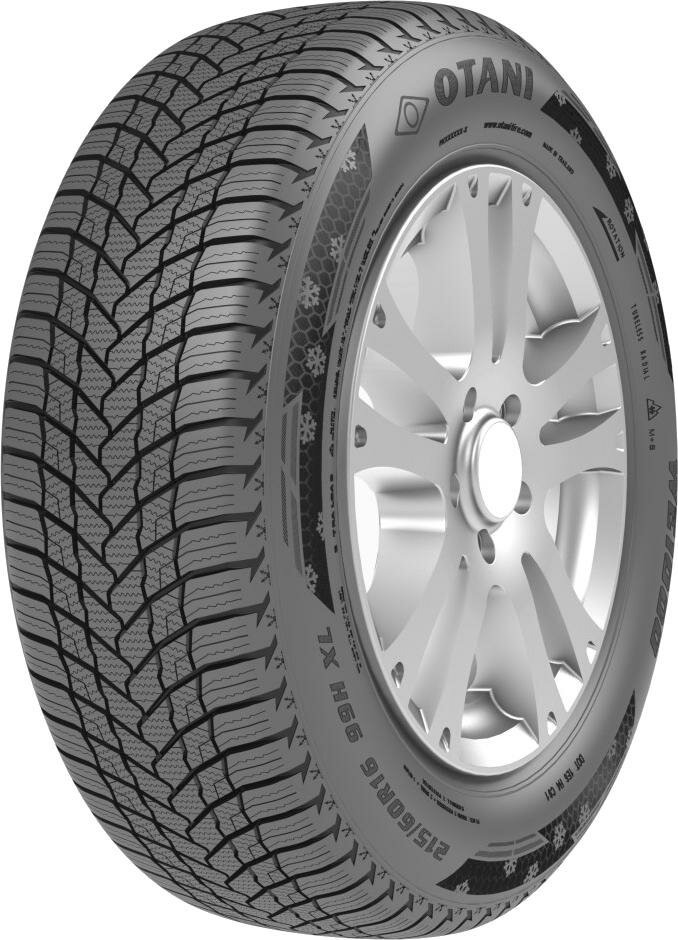 Otani WE1000 195/65 R15 91T (нешип)