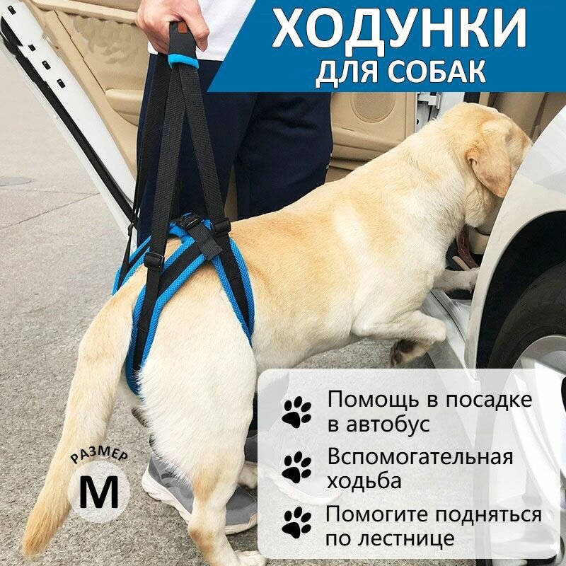 Ходунки для собак, поддержка задних лап пожилых и травмированных собак. Поддерживающая шлейка, размер M