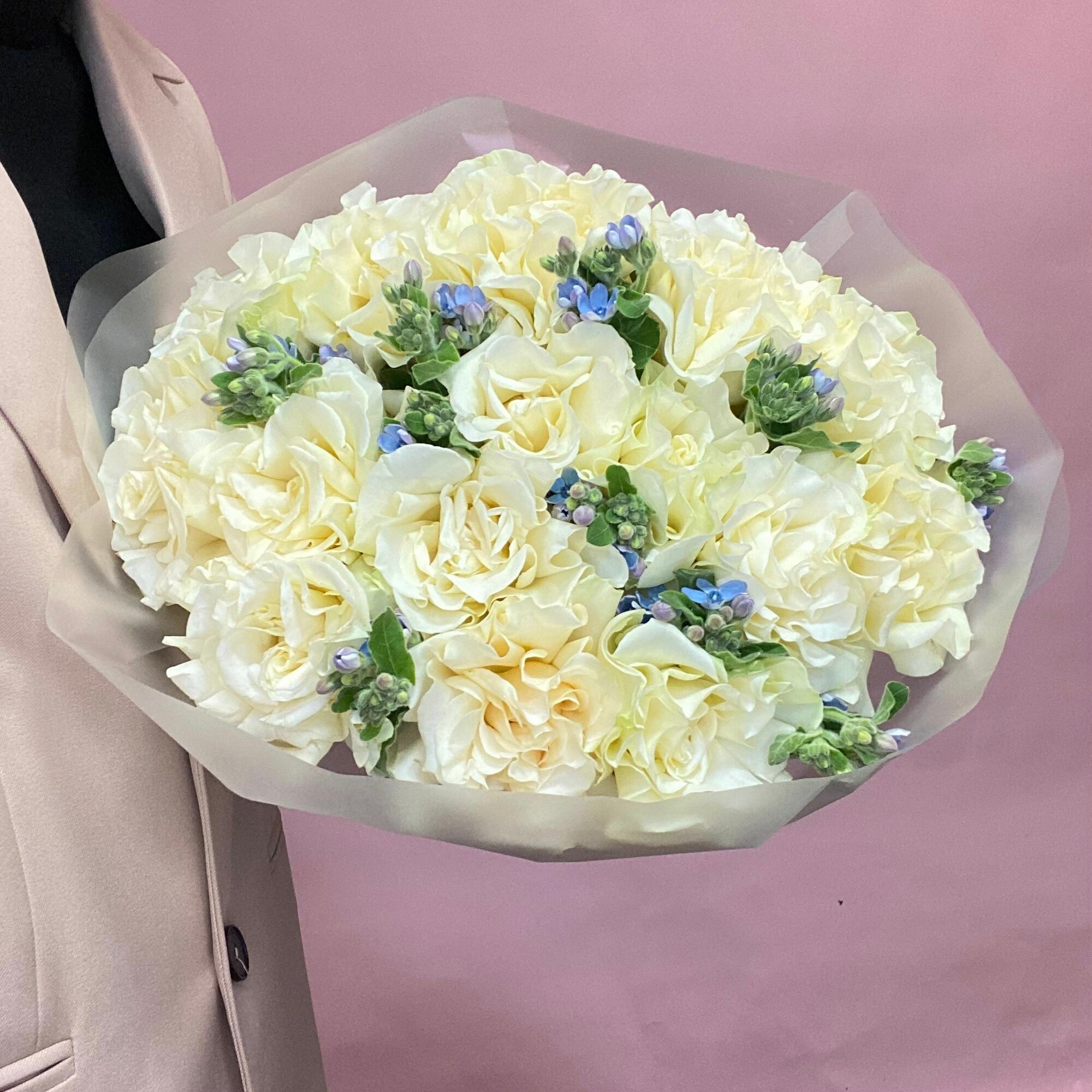 Белые розы (французские розы 15 шт, оксипеталум 10 шт.), высота букета 40 см