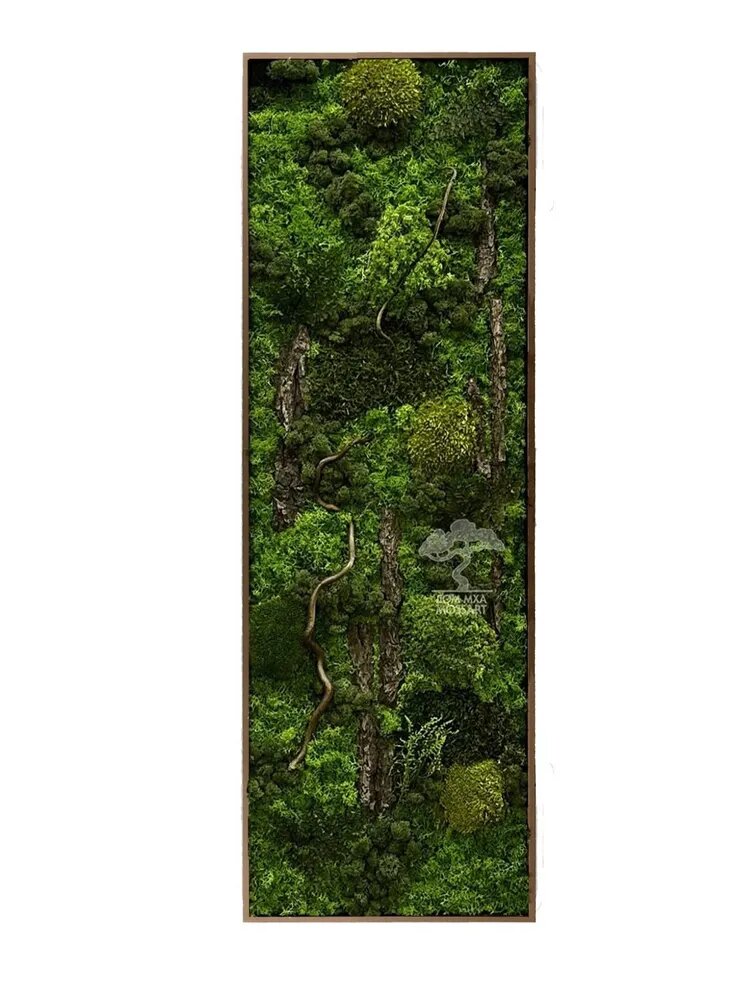 Панно/картина в раме "На опушке" Соло из стабилизированного мха и растений, Венге, 120*40 см.