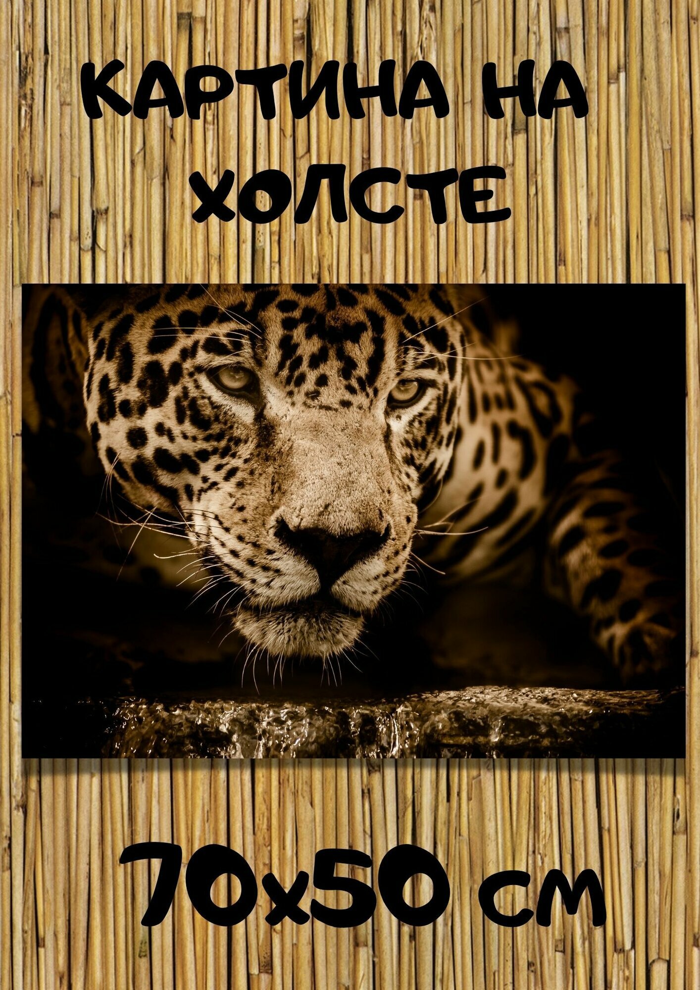 Картина с дикими животными "Пятнистый ягуар" 70х50 см