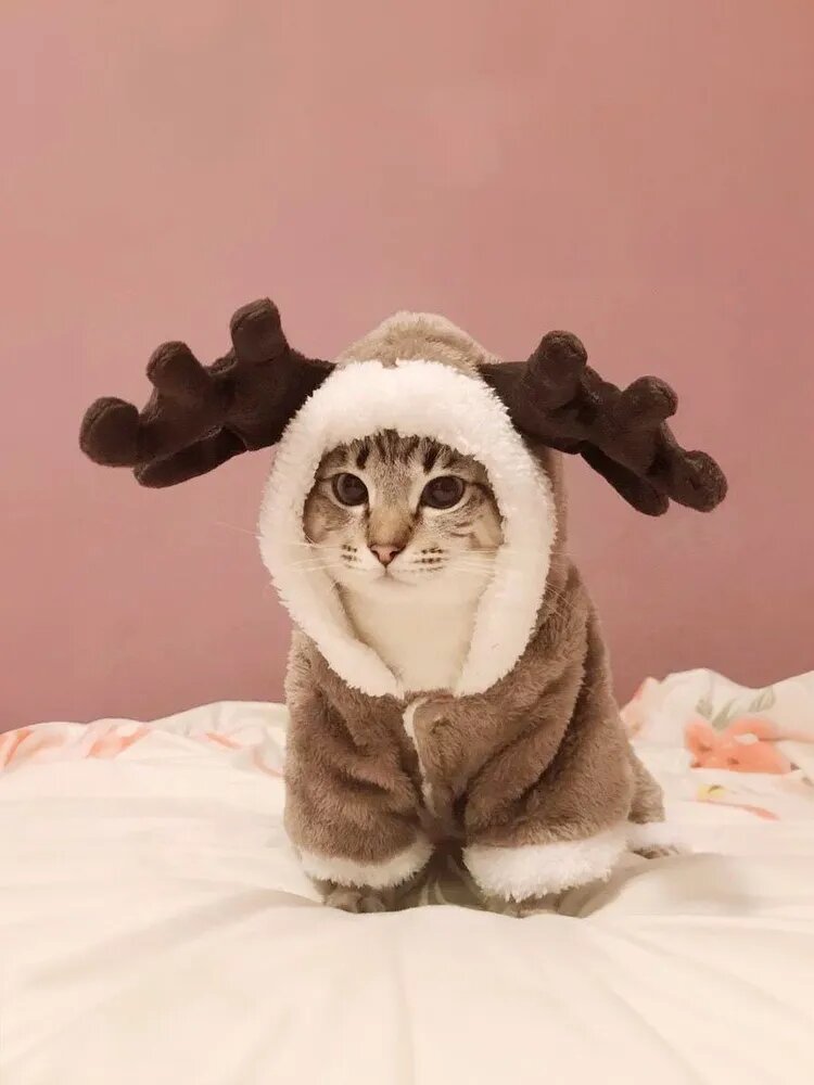 Модный комбинезон для собак мелких пород и кошек - теплый, удобный и стильный костюм с капюшоном XS-2XL