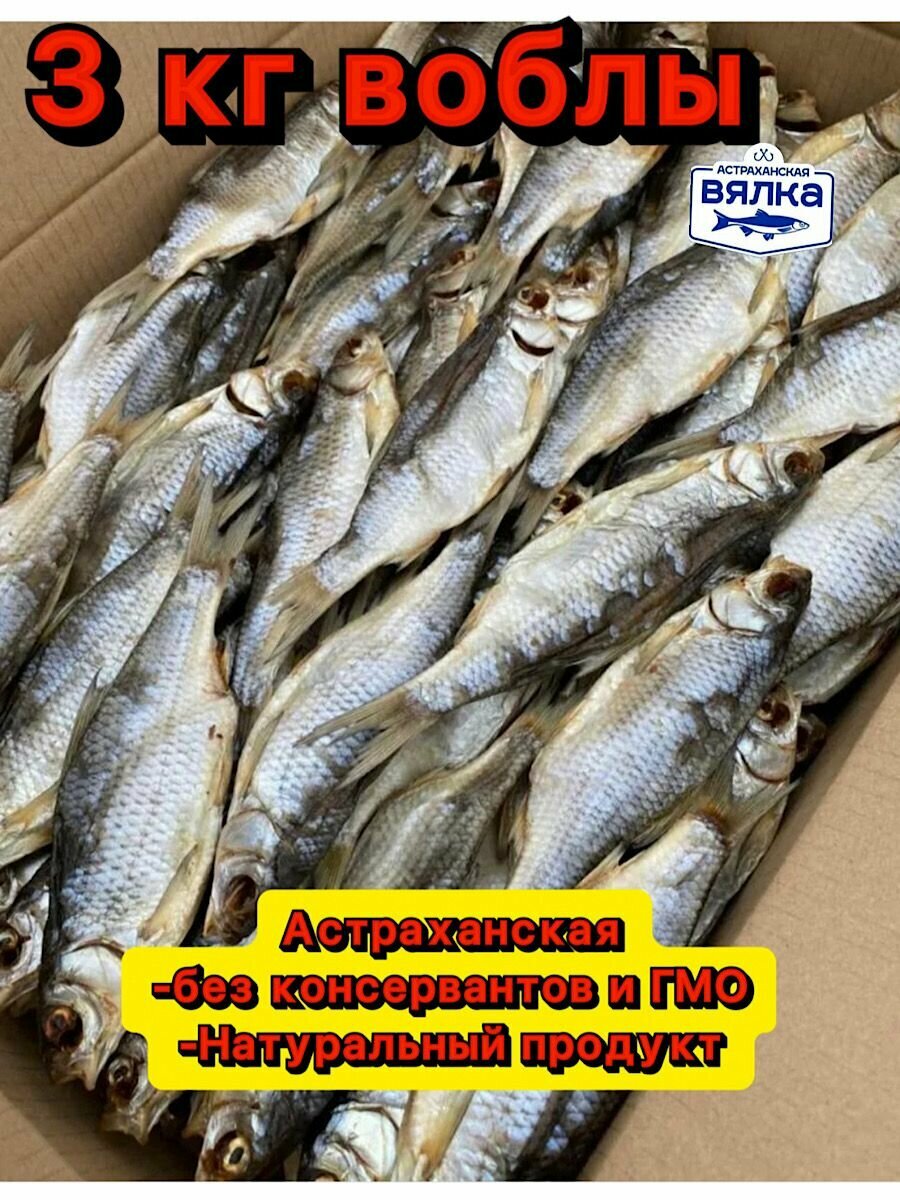Вобла Астраханская, вяленая, в картонной коробке, без ГМО, 3кг