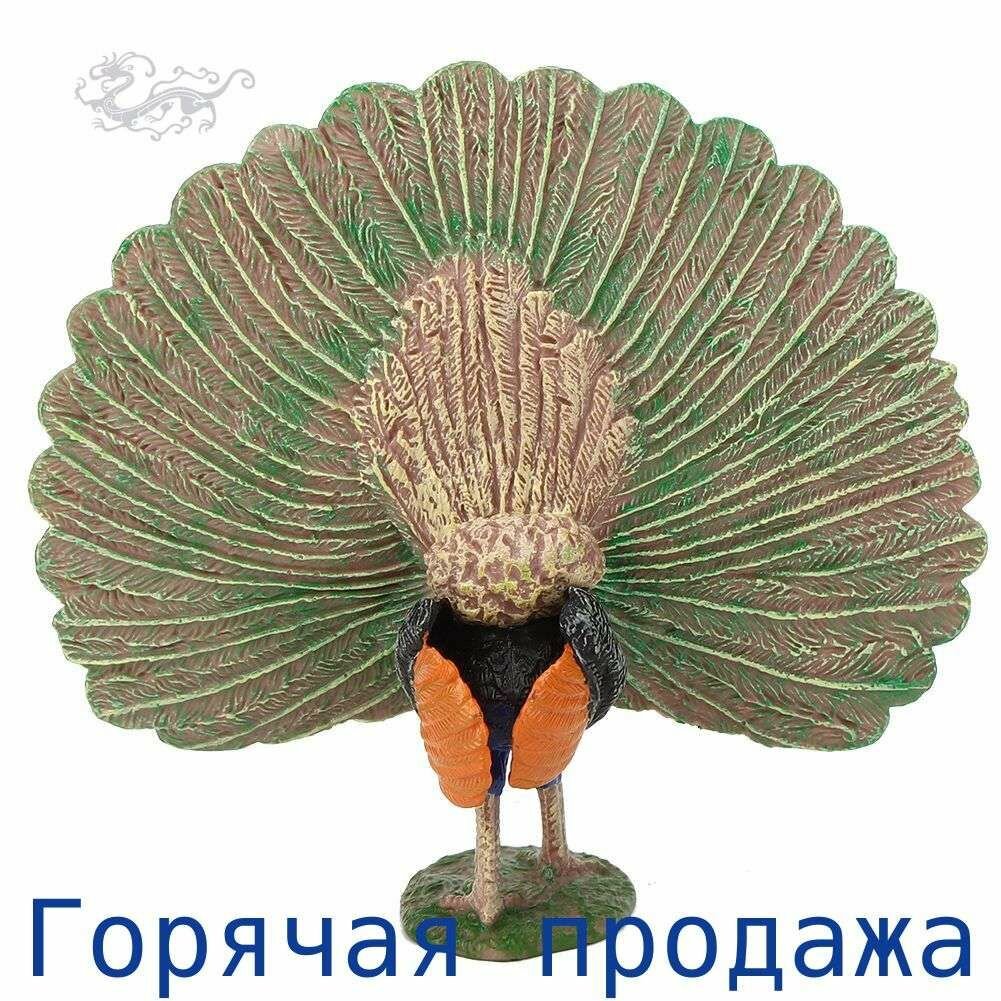 Модель павлина — фото 1