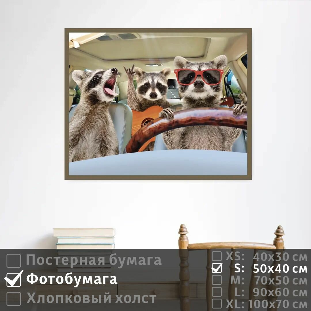 Постер на фотобумаге Поющие Забавные Еноты 50х40 см ПолиЦентр