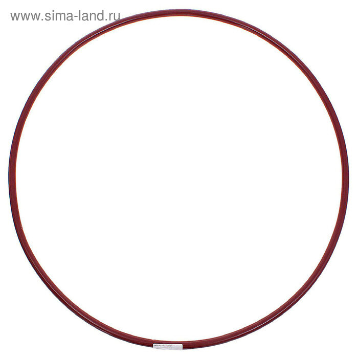 Обруч гимнастический стальной d=750 мм, вес 700 г, цвета микс 625900