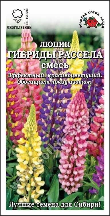 Семена люпина "Золотая сотка Алтая" "Гибриды Расселла", морозостойкий, для всех регионов