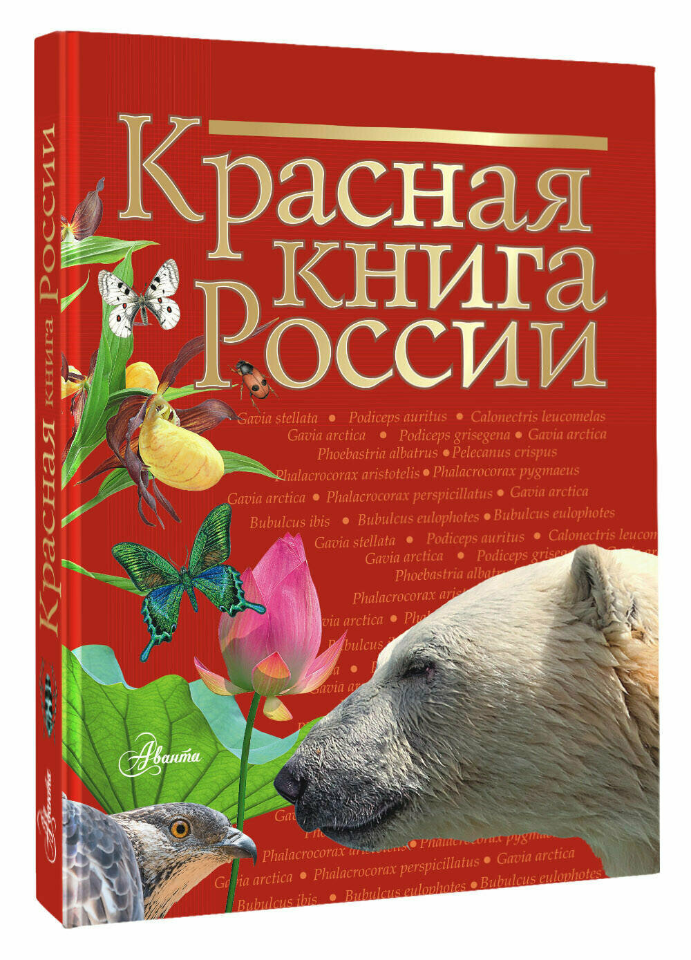Красная книга России Пескова И. М, Дмитриева Т. Н, Смирнова С. В, Куксина Н. В, Зотова М. Г, Тимоханов В. А. и др.