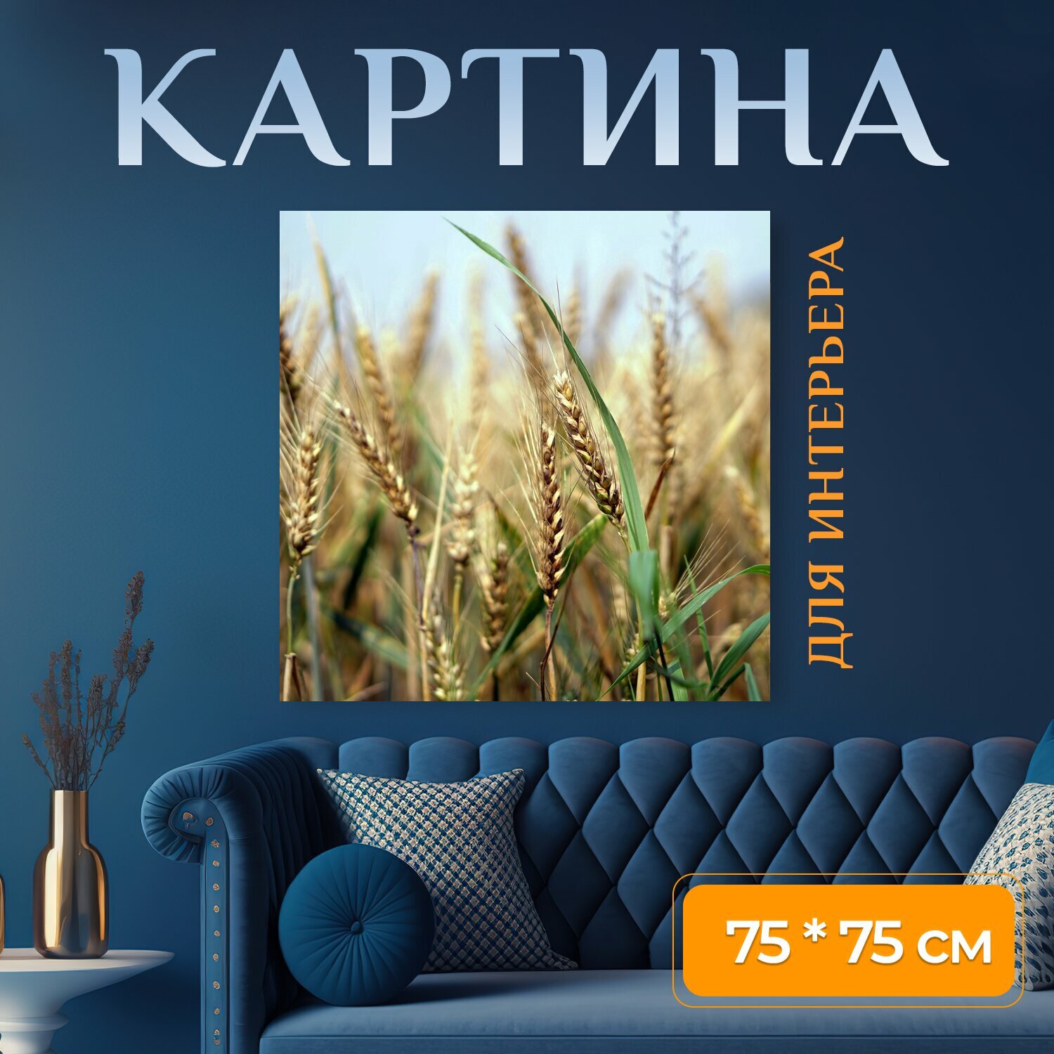 Картина на холсте "Пшеница, пшеничное поле, кукурузное поле" на подрамнике 75х75 см. для интерьера