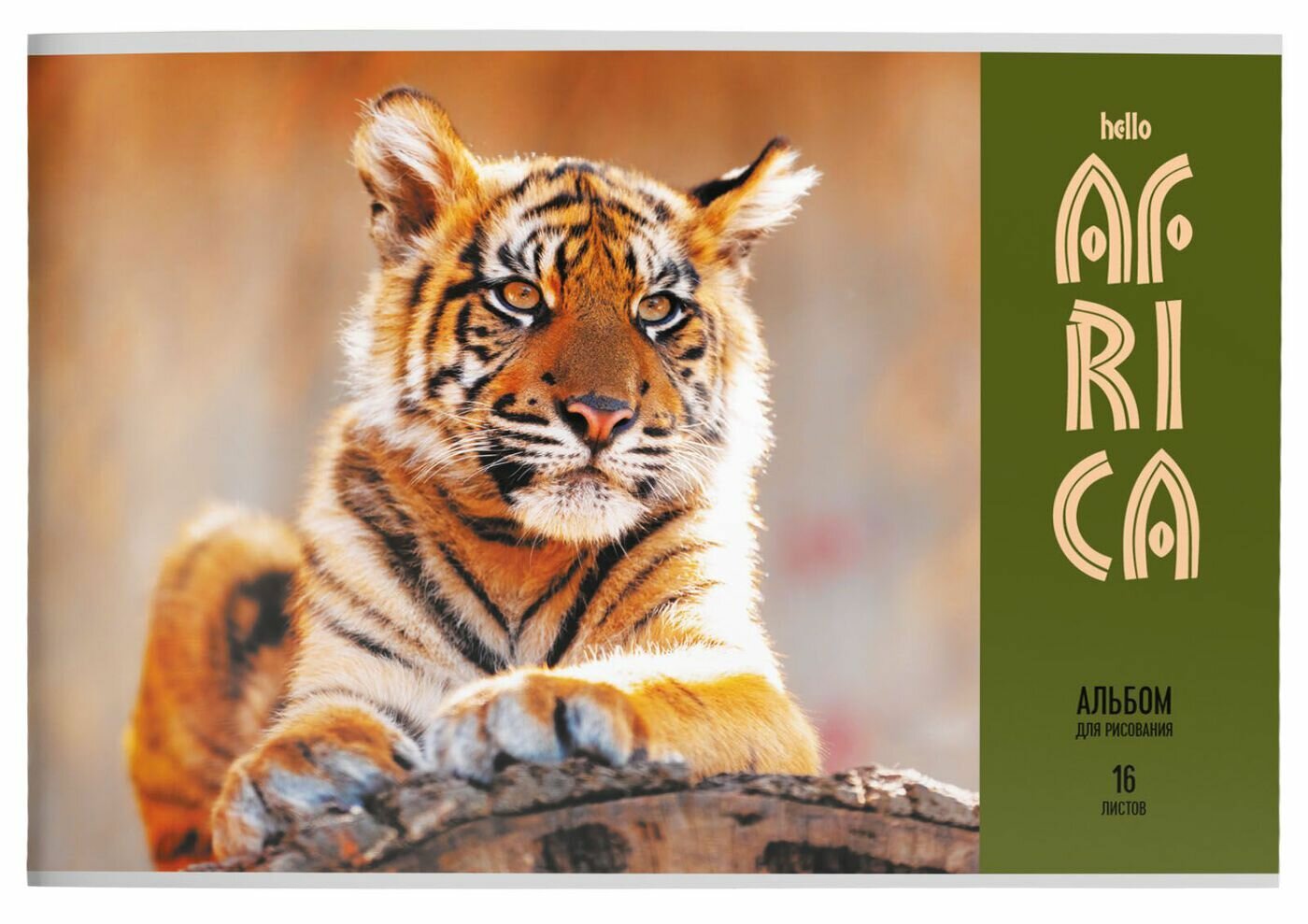 Альбом для рисования Schoolformat 16 листов, А4, скрепка "Приключения в Сафари"