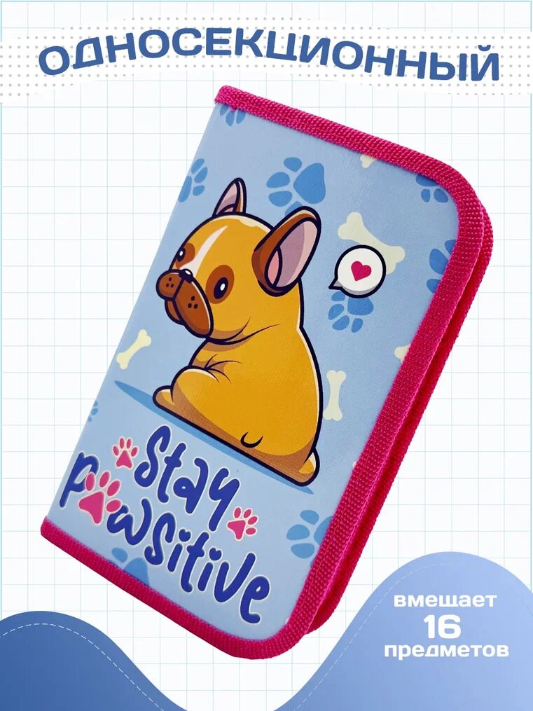 Пенал школьный для девочек AXLER большой вместительный органайзер книжка для канцелярии карандашей ручек, для школы