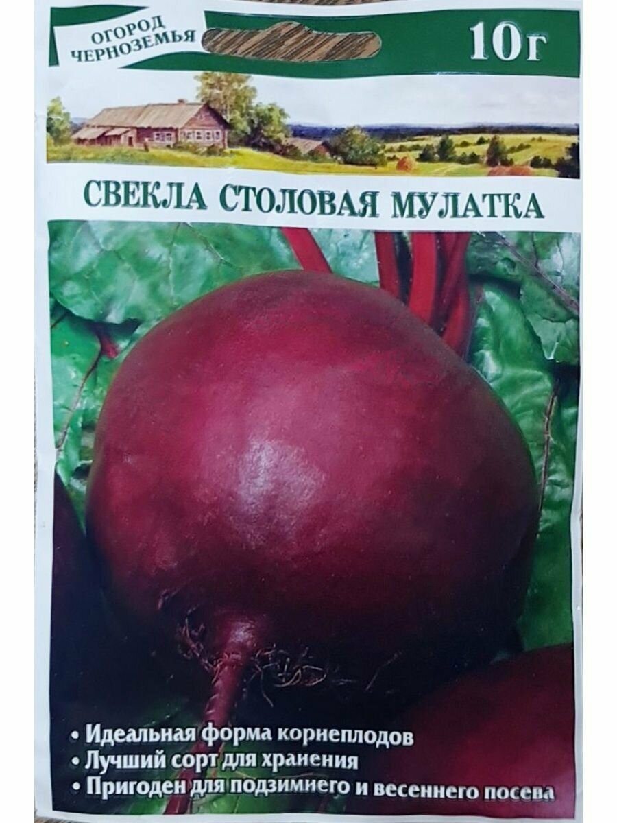 Свекла столовая Мулатка
