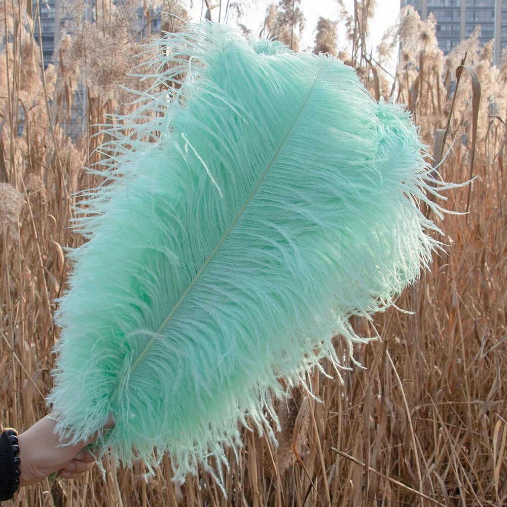 Цветные страусиные перья 15-60 см Изумрудный, 25-30cm, Mint green