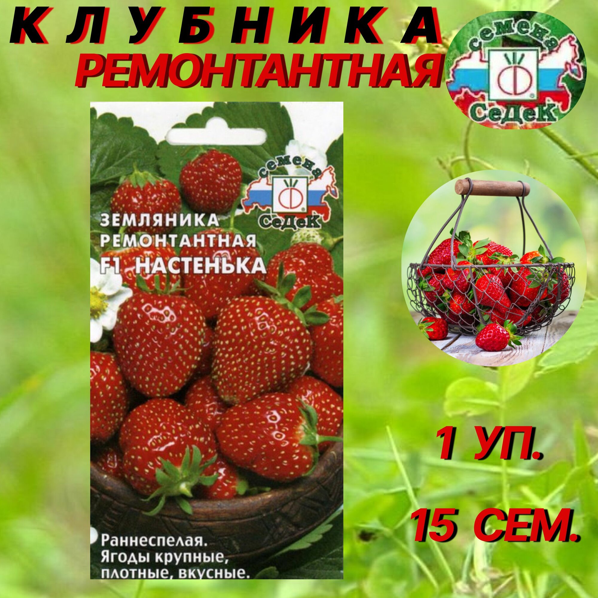 Семена клубники СеДеК "Настенька" F1, раннеспелые, ремонтантные, 1 упаковка
