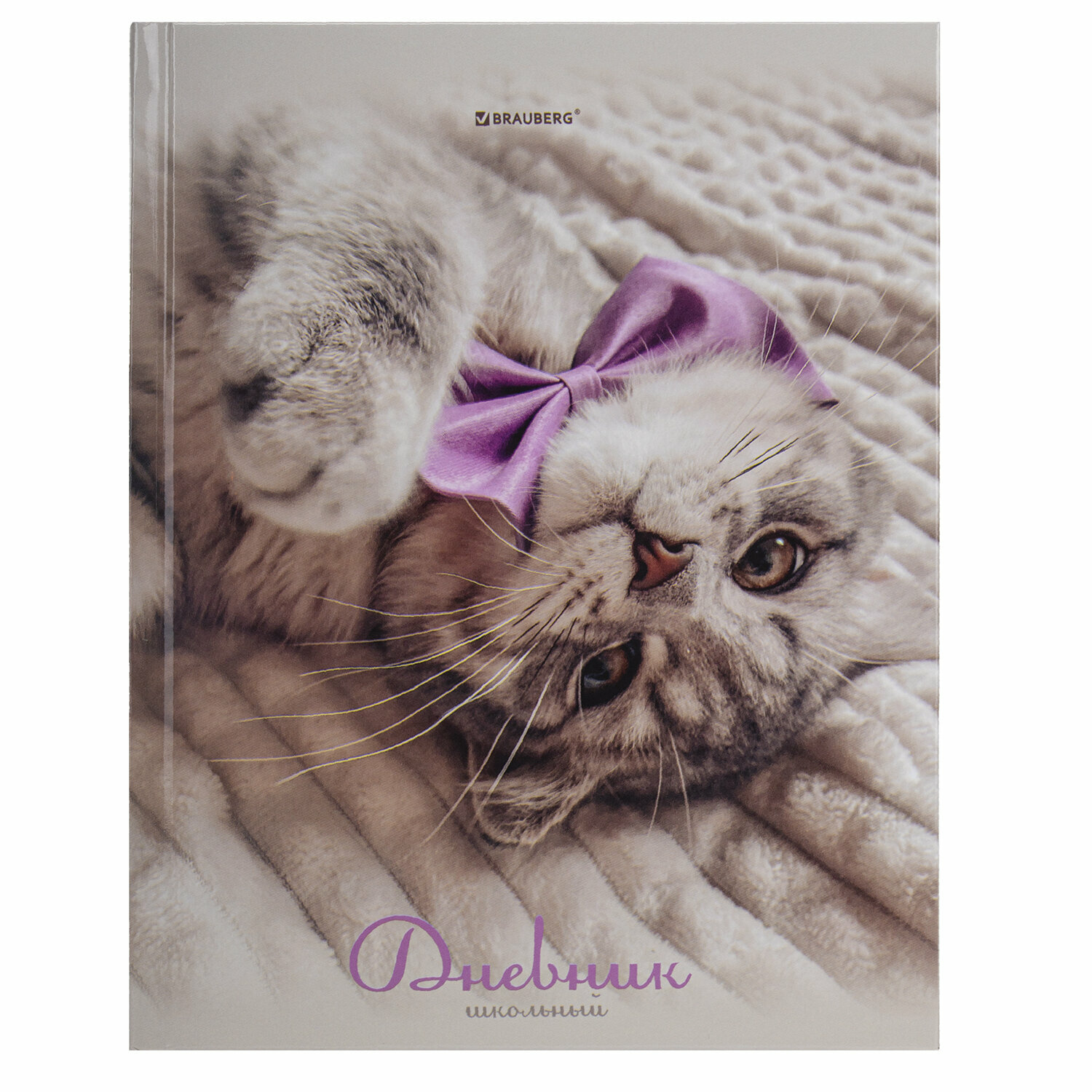 Дневник 5-11 класс 48 л, твердый, BRAUBERG, глянцевая ламинация, с подсказом, "Котик", 107188