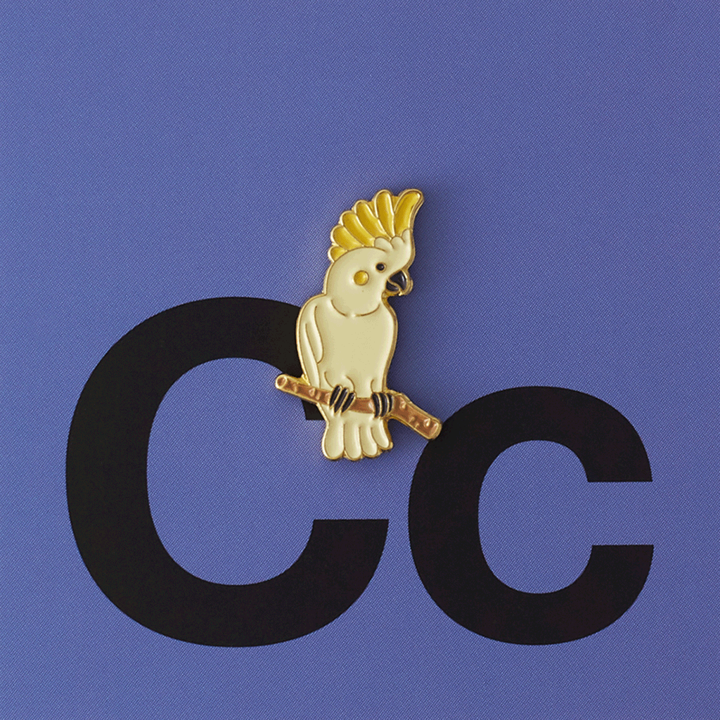 Брошь Pinpinpin.it