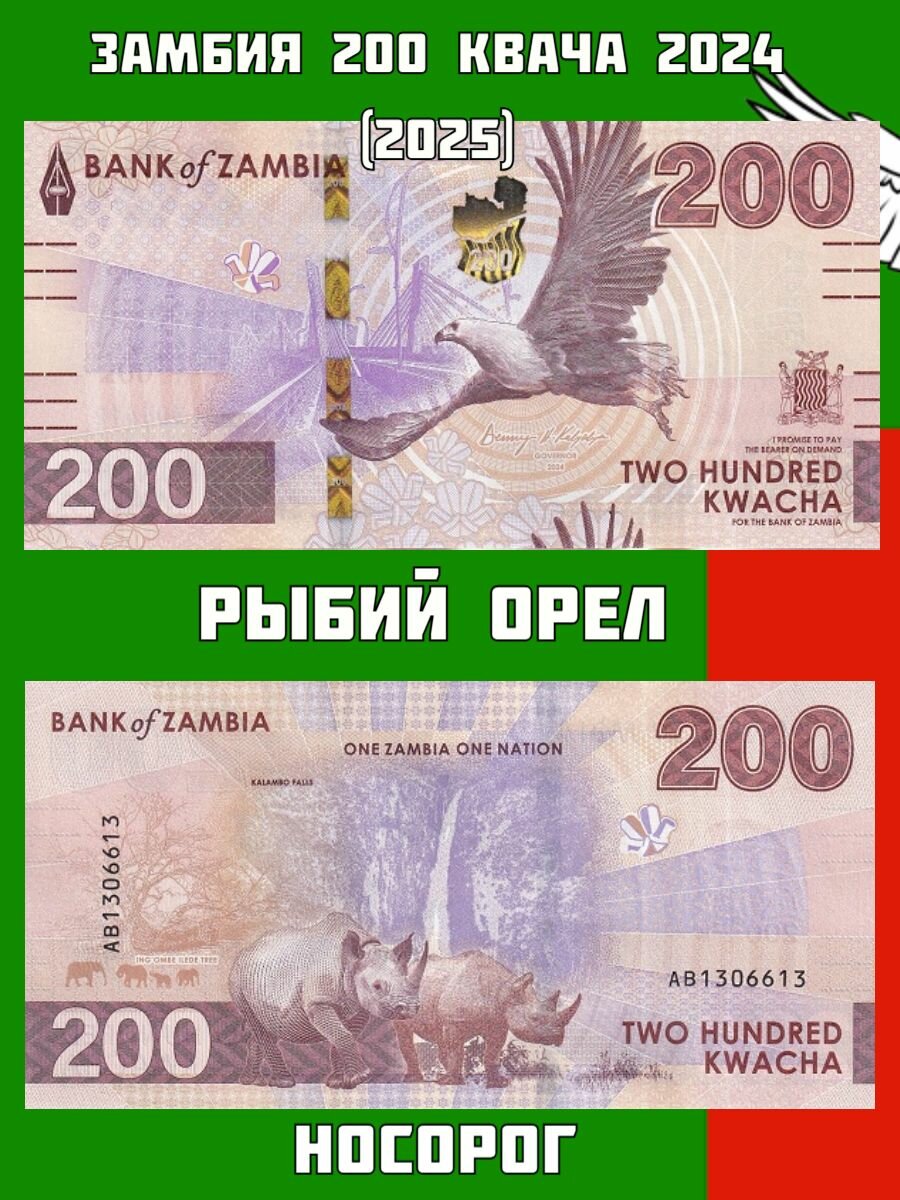 Замбия 200 квача 2024 (2025) Носорог UNC