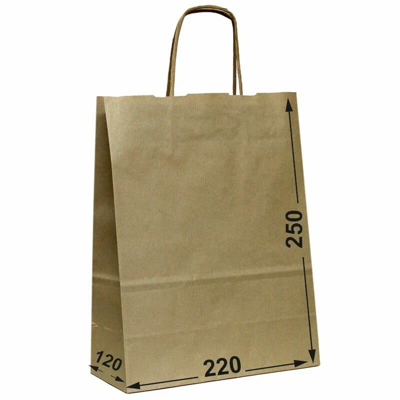 Крафт пакет бумажный с кручеными ручками, 220х120х250 мм 15шт