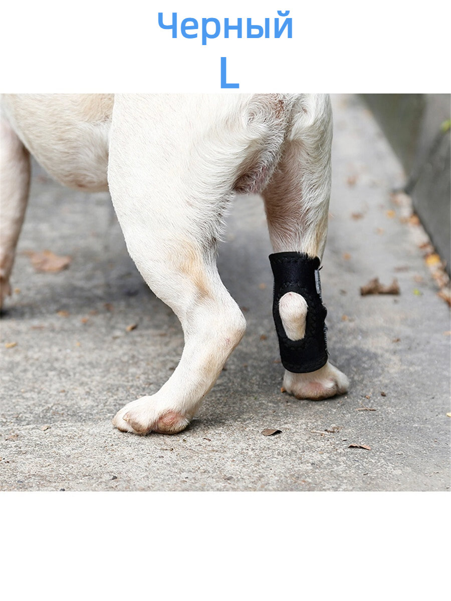 Бандаж для собак и кошек на заднюю и переднюю лапу.