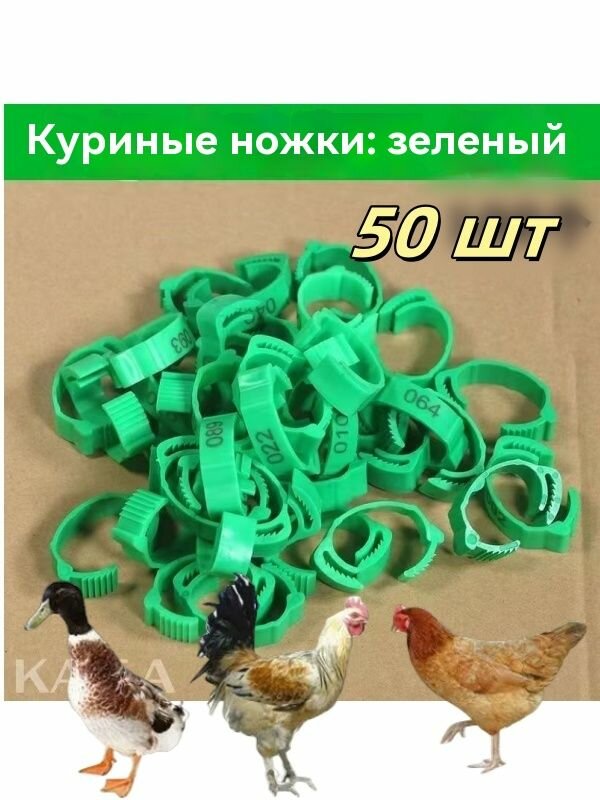 Меточные кольца 16 см для кур 50шт. Маркировочные метки для окольцовки птиц для птицеводства для идентификации птиц