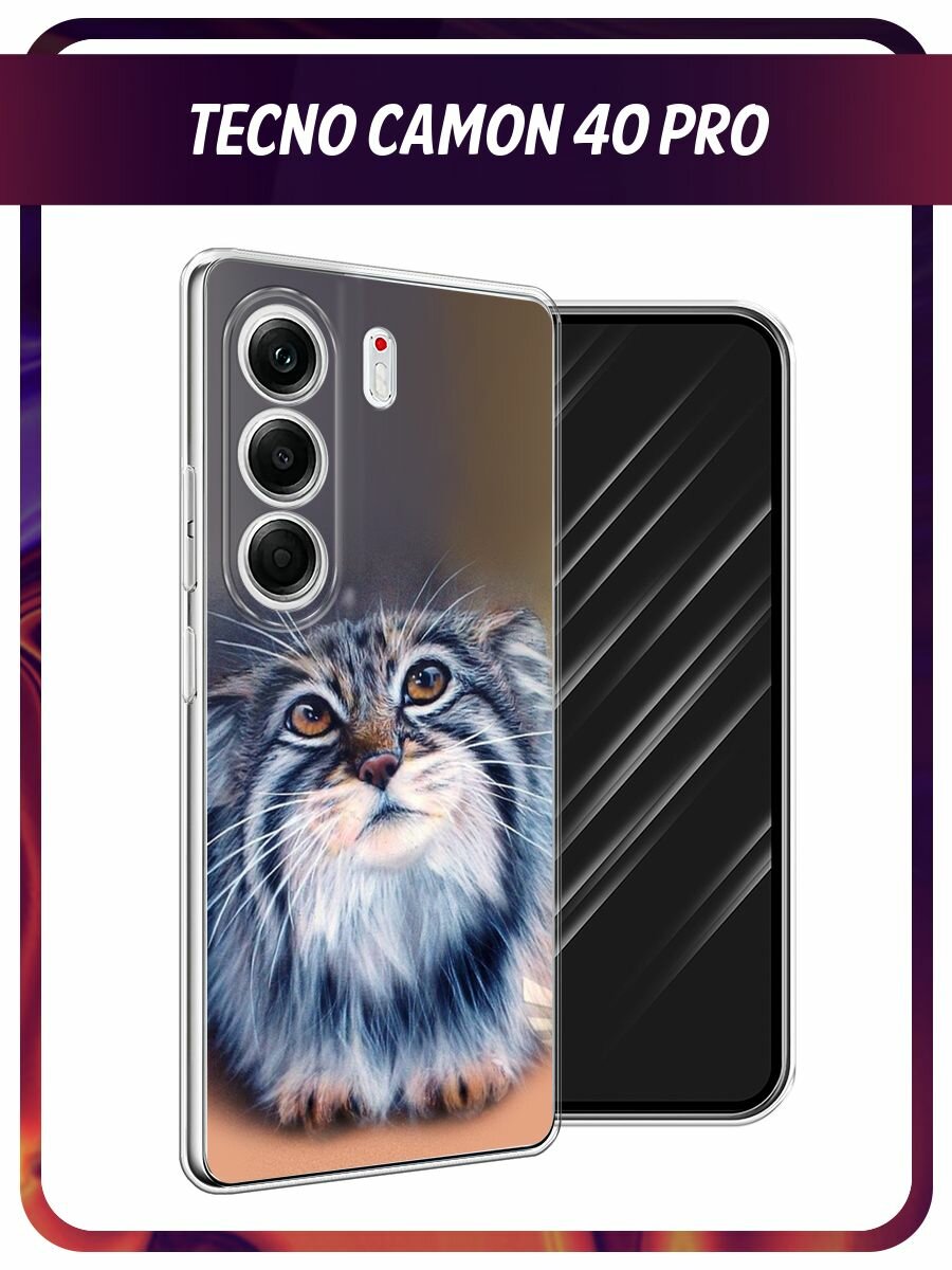 Чехол на Tecno Camon 40 Pro / Текно Камон 40 Про с принтом "Кот манул 2"