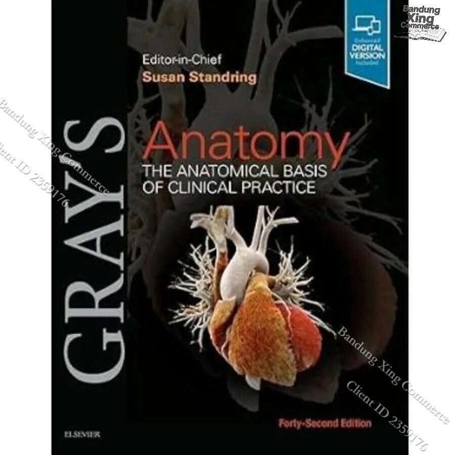 Gray's Anatomy: The Anatomical Basis of Clinical Practice 42th