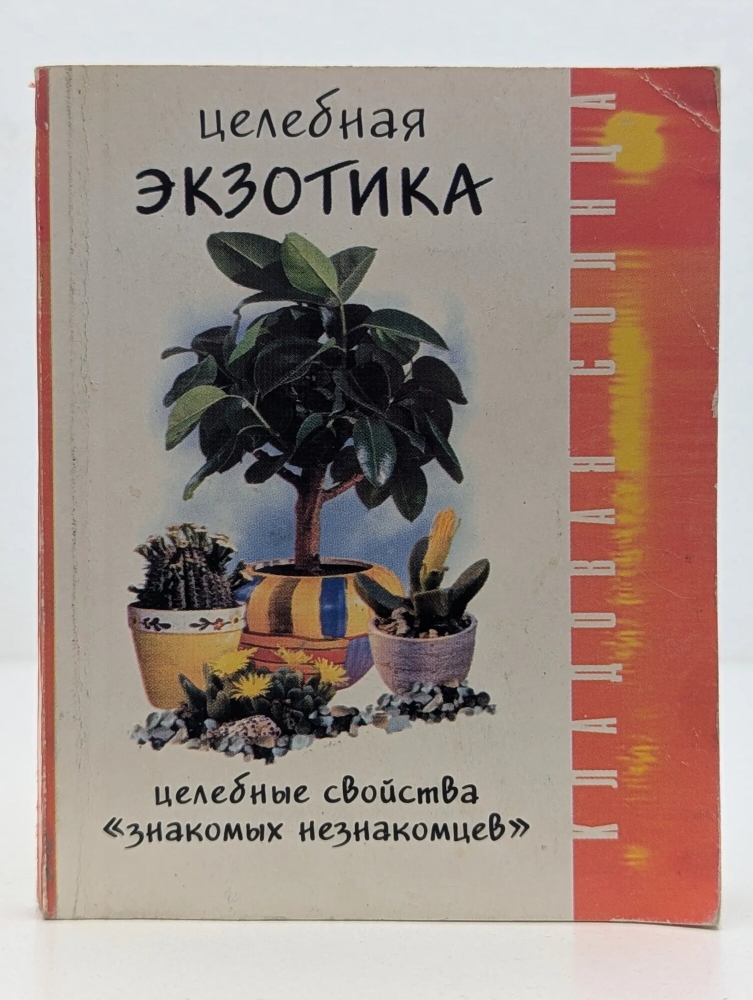 Целебная экзотика. Целебные свойства "знакомых незнакомцев" Филиппова Ирина Александровна 2000