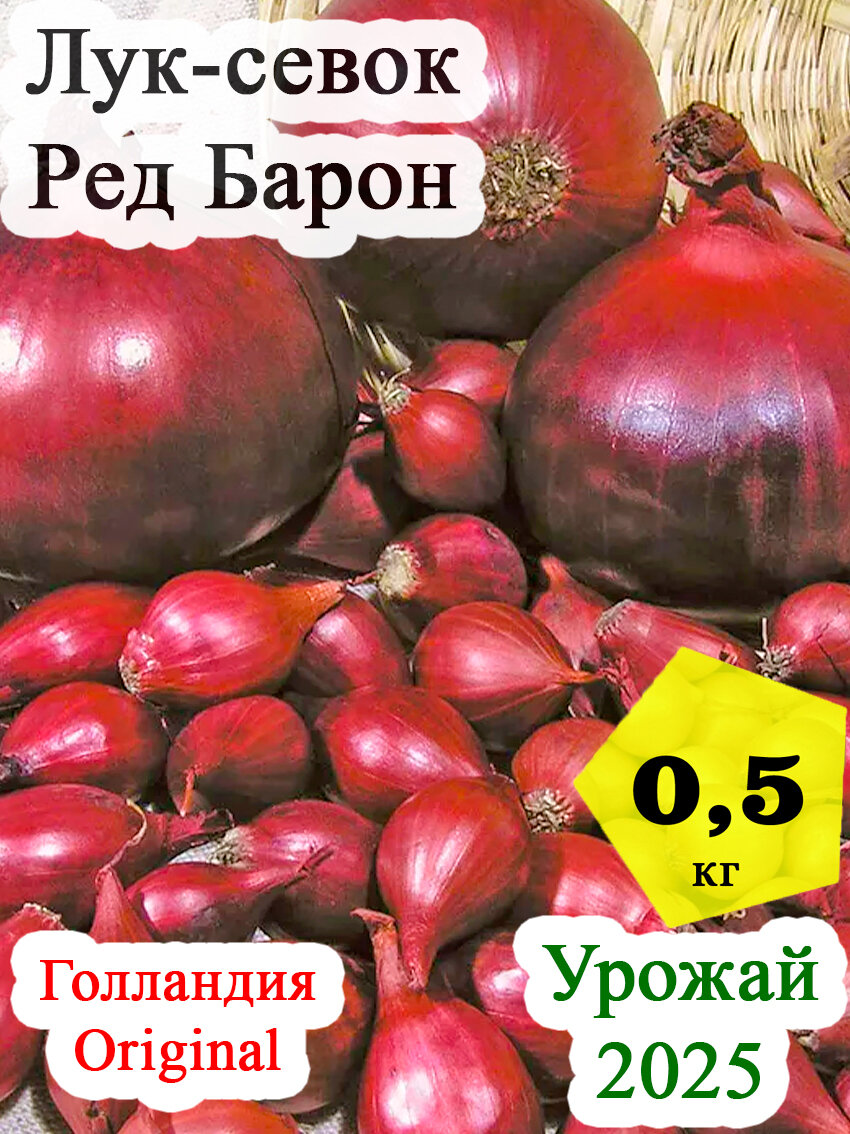 Лук севок Ред Барон 0,5 кг Голландия