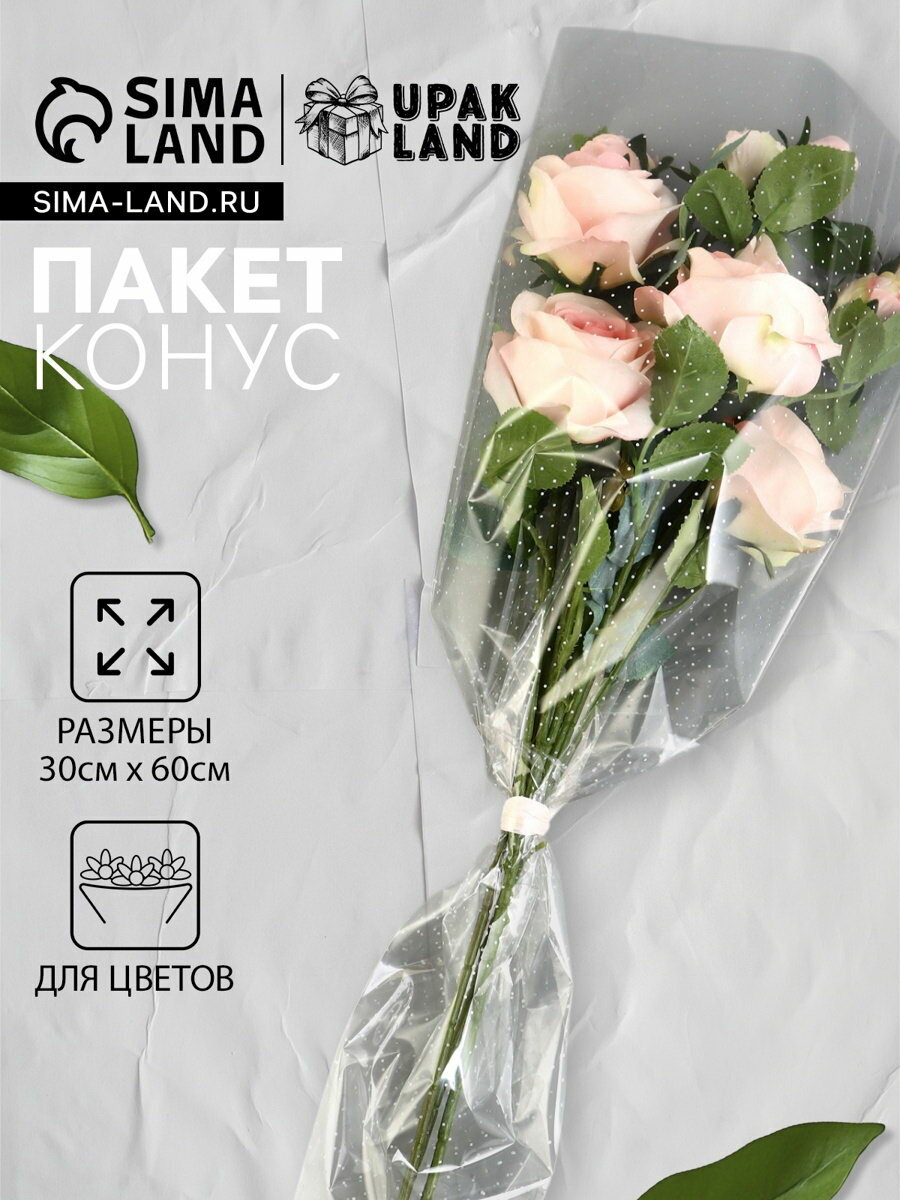 Пакет конус для цветов, мини, горох, 30x60 см, особенности: с рисунком, 50 шт.