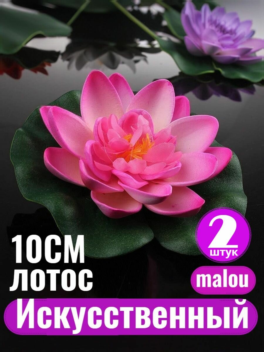 Декоративные цветы для водоема, Водяные лилии 10x10cm