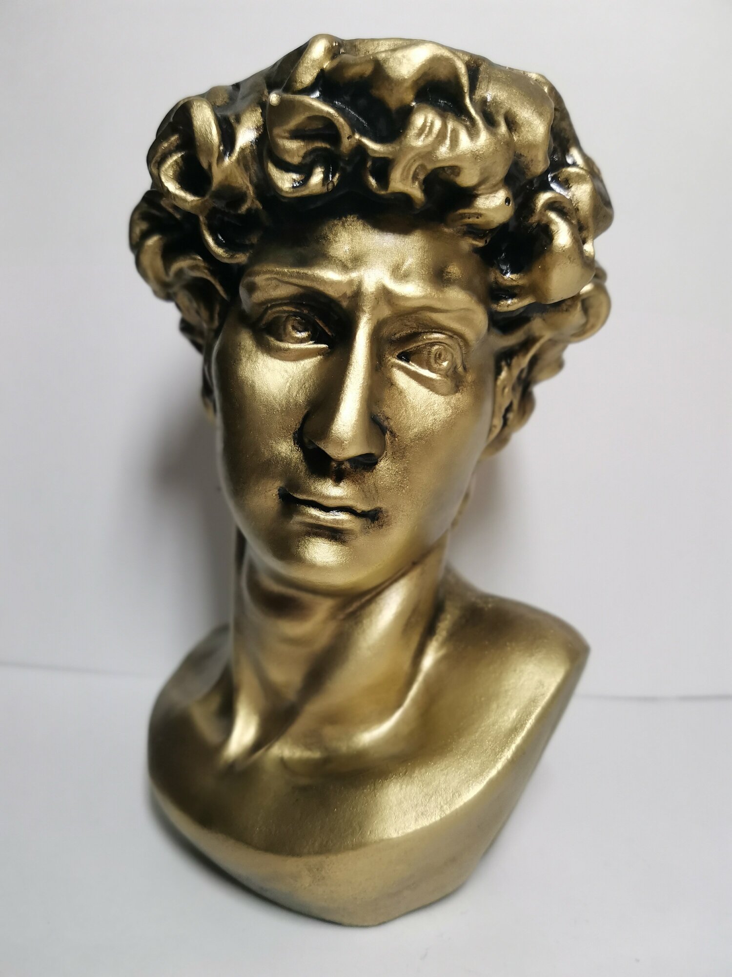 Статуэтка-Органайзер "Голова Давида"23см*15см бронза