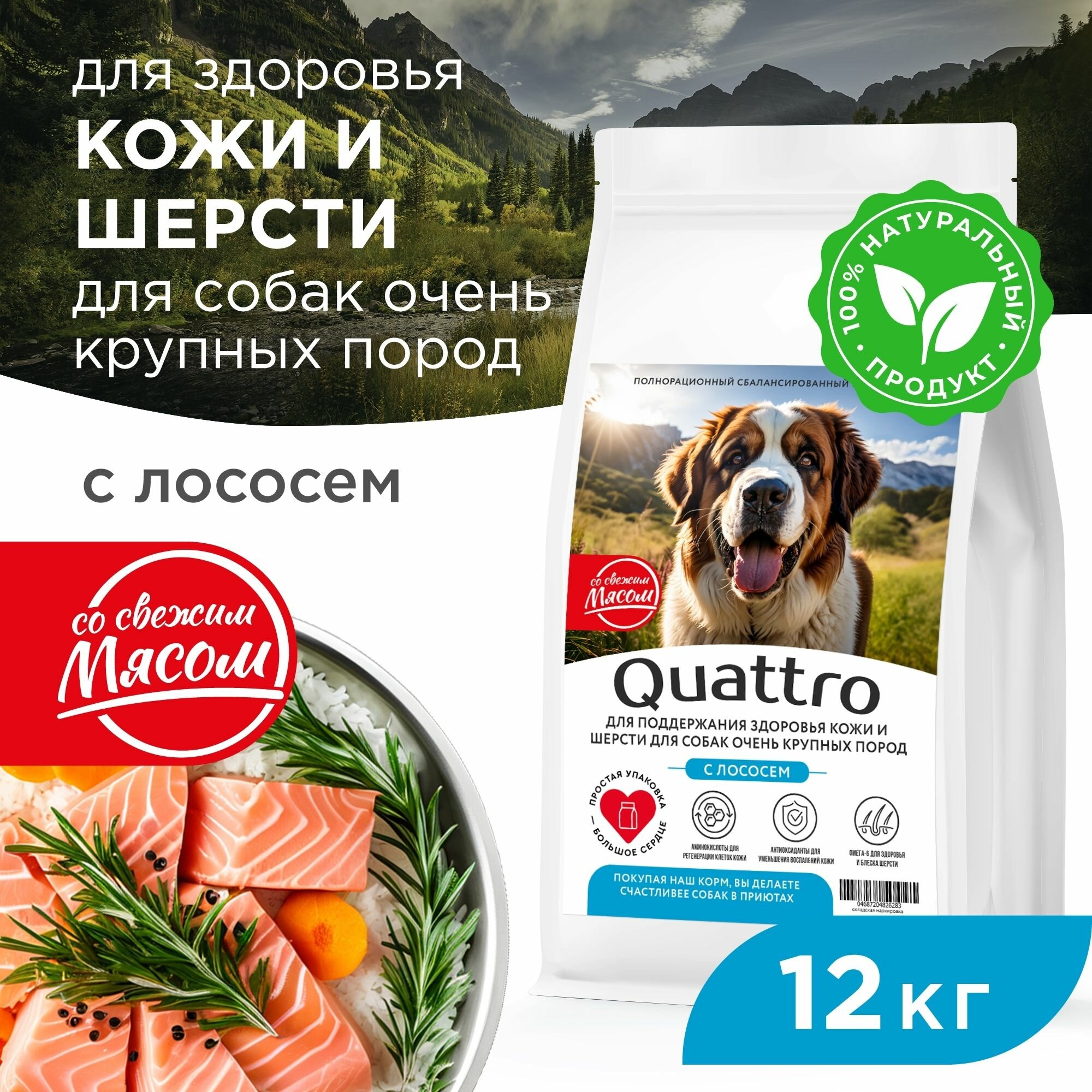 Корм сухой для взрослых собак очень крупных пород, премиум полнорационный комплекс, здоровье кожи и шерсти, с лососем, 12 кг, QUATTRO