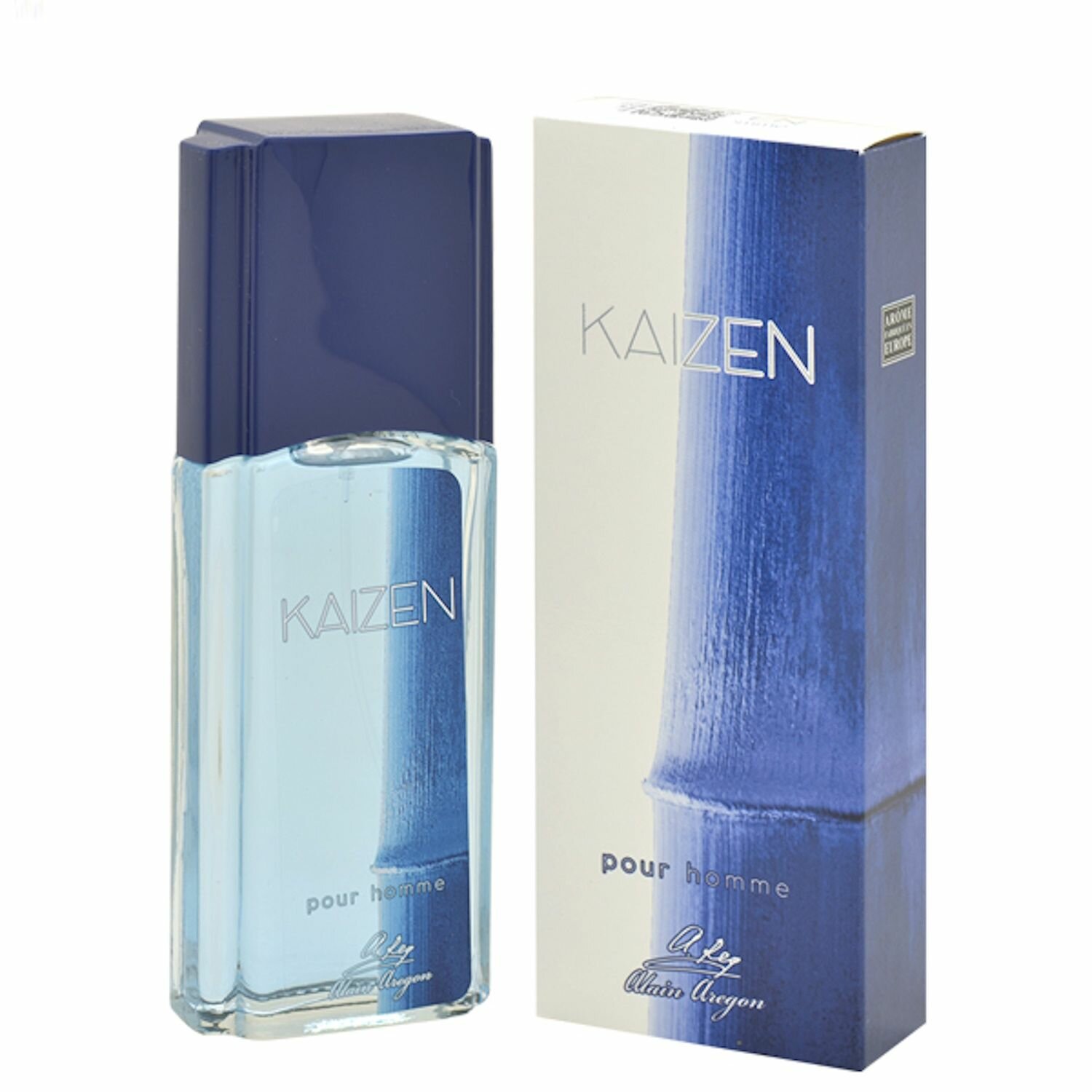 ALAIN AREGON (Positive parfum) Туалетная вода мужская KAIZEN POUR HOMME, 95мл