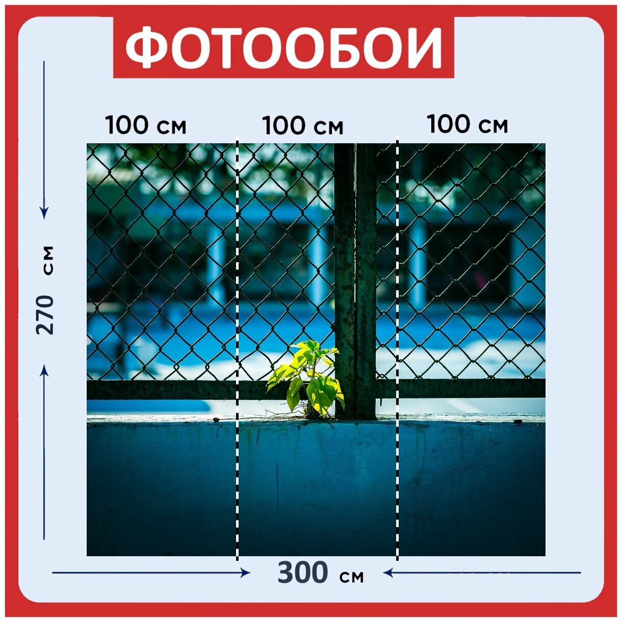 Фотообои ударопрочные моющиеся "Дерево, картина, рамка" 300x270 см. флизелиновые на стену